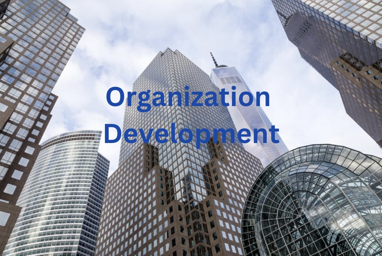 Overview of organization development(OD) – A New Horizon Coaching ...
